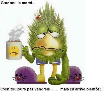 La loque humaine ! - meellie - blog régime